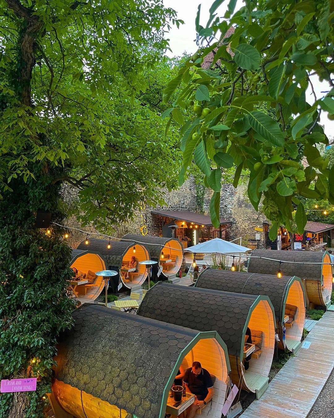 Juno Wine Garden - Wine, Food & Music in Brașov